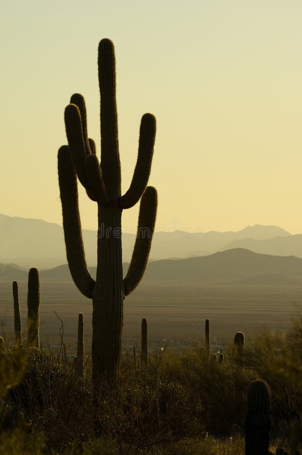 Sunset in Arizona stock photo. Image of southwest, twilight - 2239522