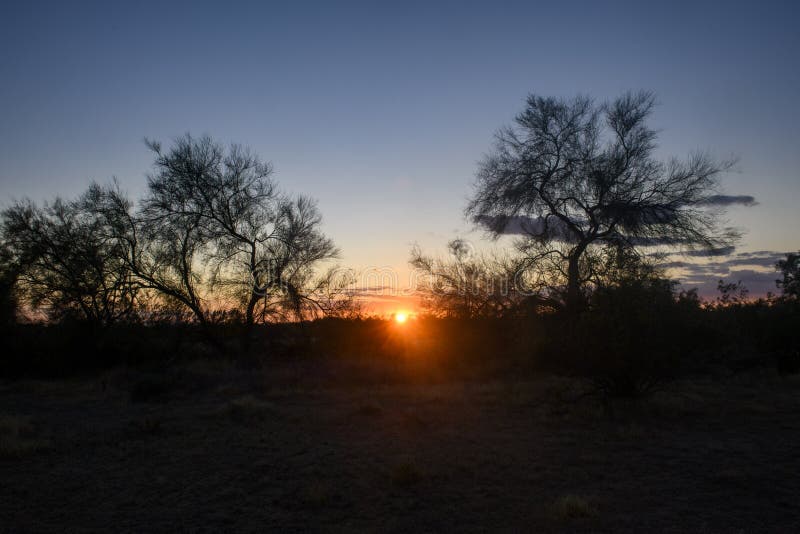 Sunset in the Arizona Desert between Trees Stock Image - Image of ...