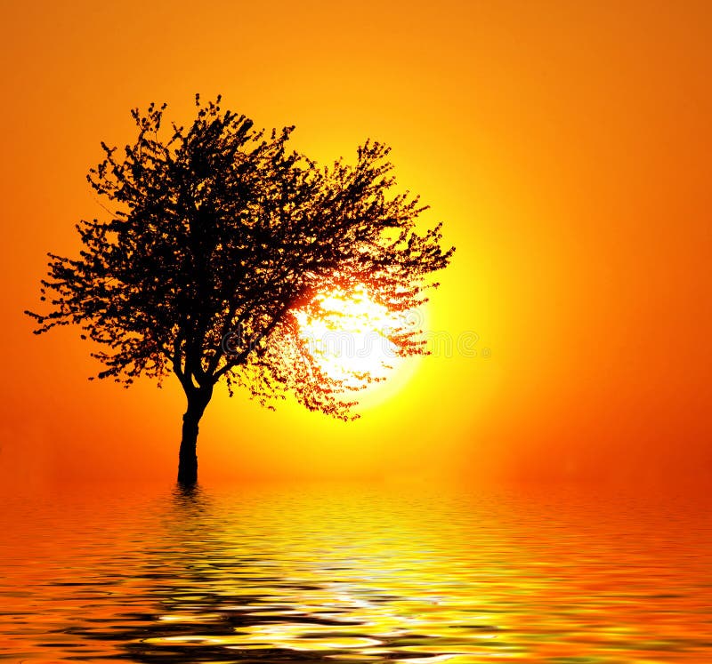 Sunset as a fruit stock image. Image of reflections, colorful - 1897511