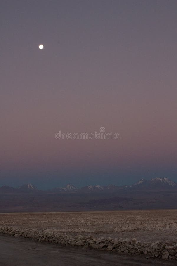 Sunset in the Atacama Desert Stock Image - Image of exotic, bird: 42440769