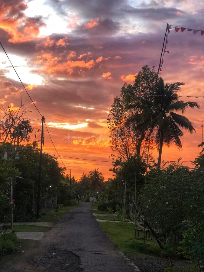 Sunset Atmosphere in the Countryside with a Purple Background Stock ...