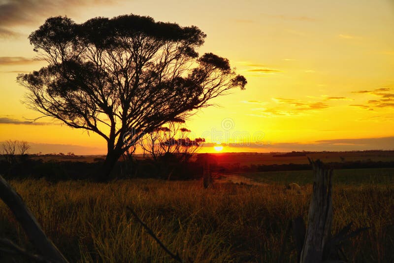 Sunset on the outback stock photo. Image of mountain - 16348006