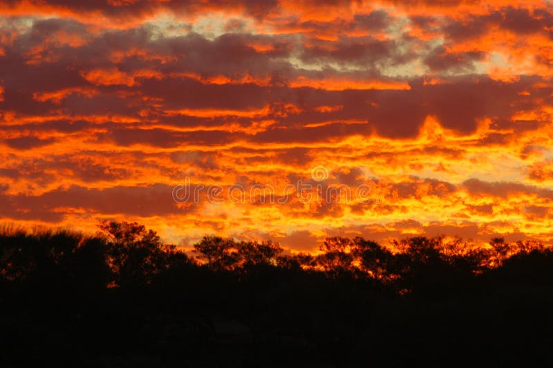 Sunset in the Australian Bush Stock Image - Image of light, heaven ...