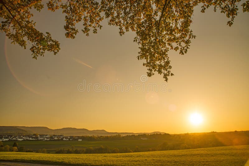 Sunset in autumn with tree stock image. Image of sunset - 107380417