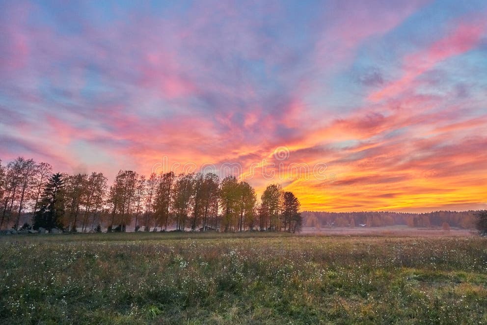 Sunset on the Backyard stock photo. Image of park, scandinavia - 131931662