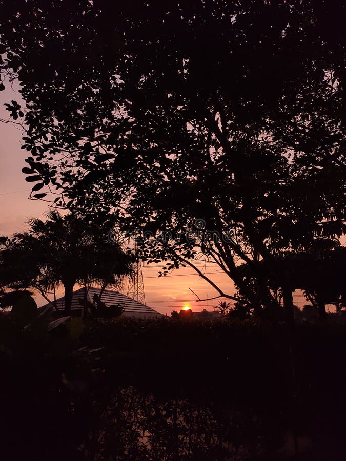 Sunset at backyard . stock image. Image of sunset, sunsta - 265032349