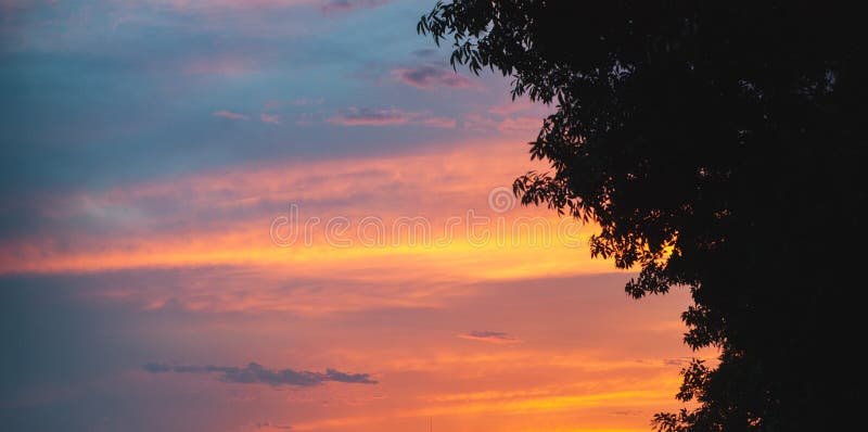 Sunset Banner Background, Tree Silhouette on Sunset Background, Stock ...