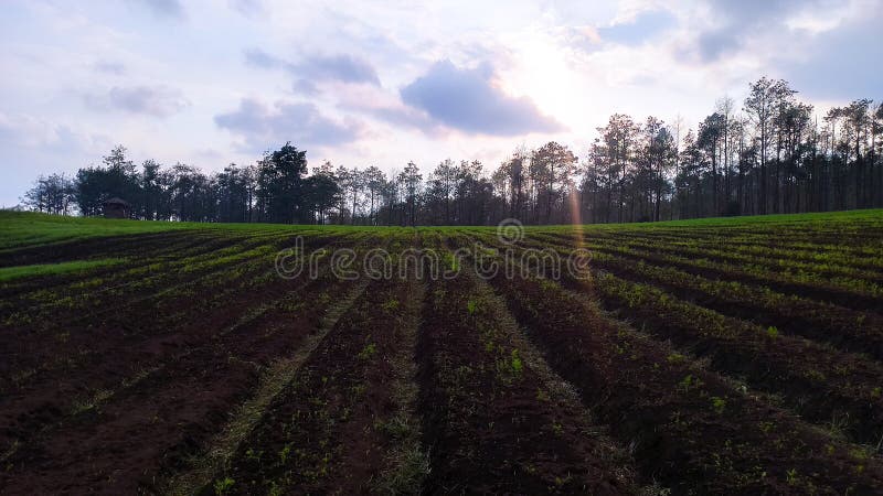 Sunset in Batu City Indonesia Landscape Stock Image - Image of batu ...