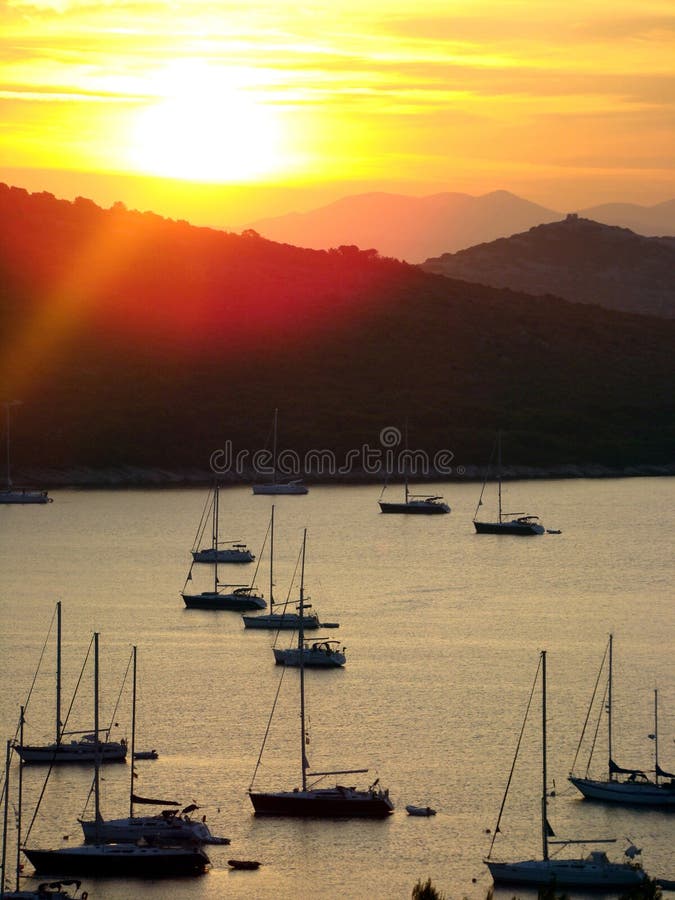 Sunset in bay stock photo. Image of sunset, trees, love - 3424584