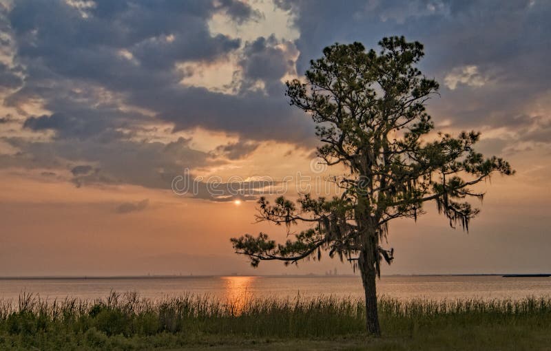 Sun rays over the bay stock image. Image of horizon, aerial - 89864089
