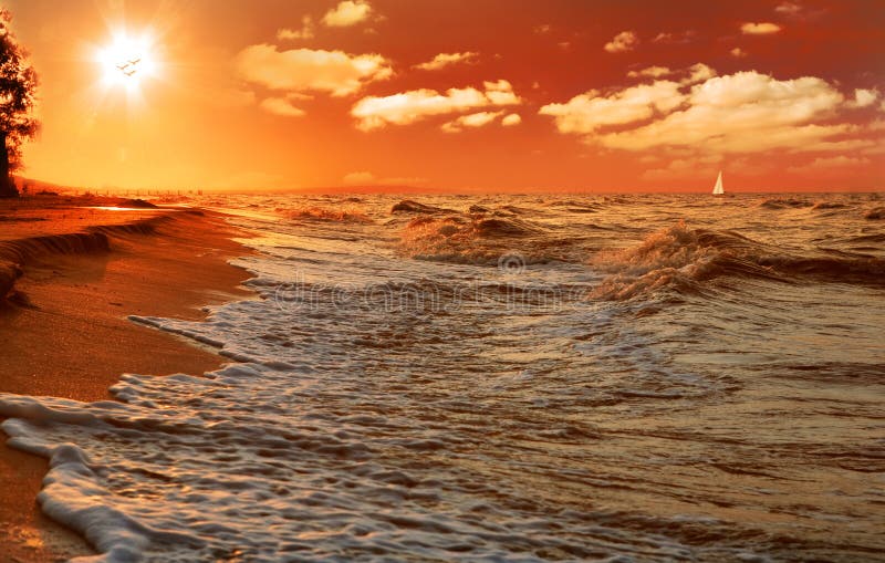 Sunset on the beach stock photo. Image of season, calm - 10910864