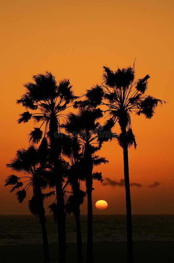 Sunset Palm Springs stock image. Image of outdoors, palm - 16940497