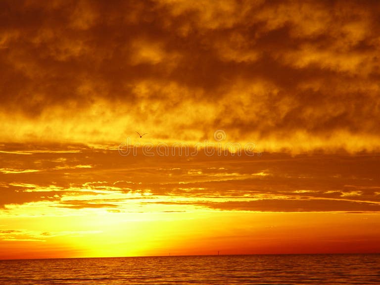 Sunset on the beach. stock image. Image of florida, orange - 993001