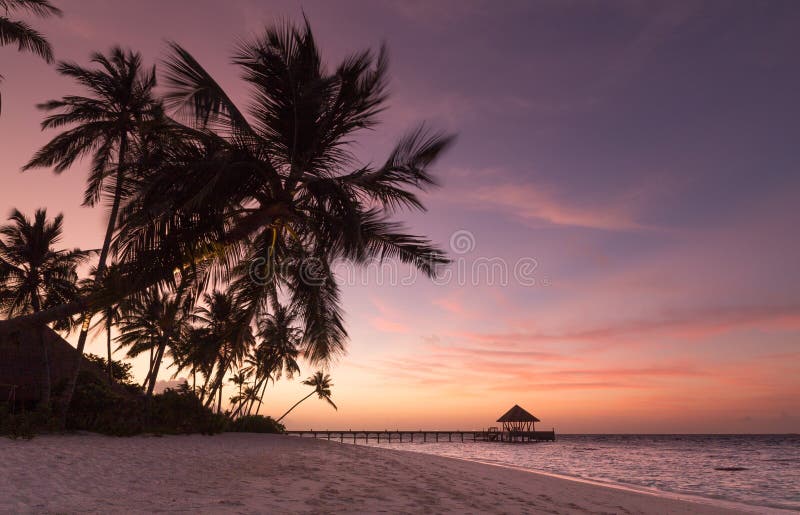 Sunset on the Beach Atoll Island Maldives Stock Image - Image of mulaku ...
