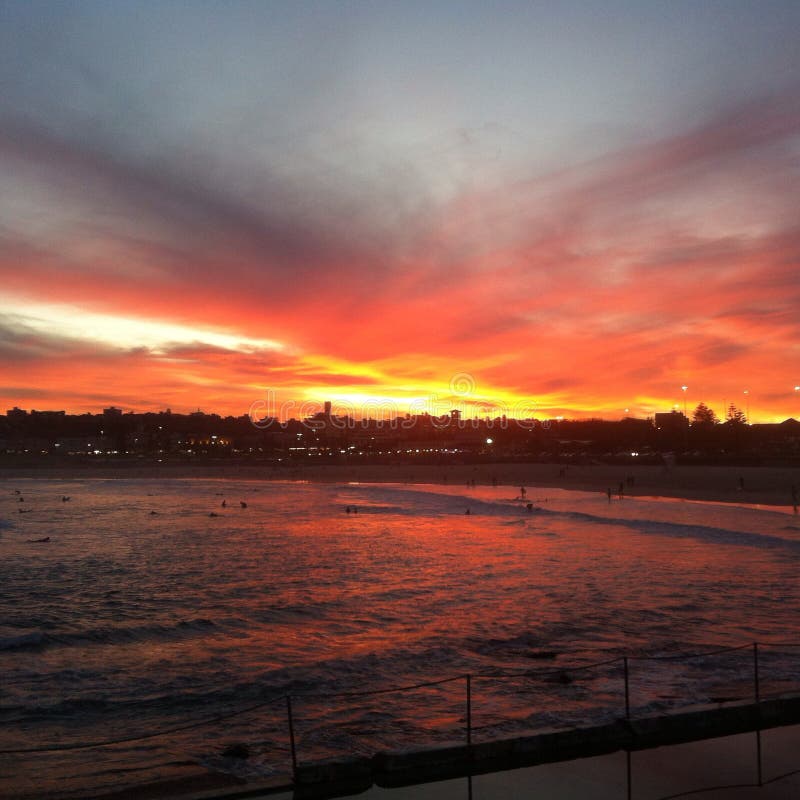 Sunset stock image. Image of sunset, beach, bondi, contrast - 43682549