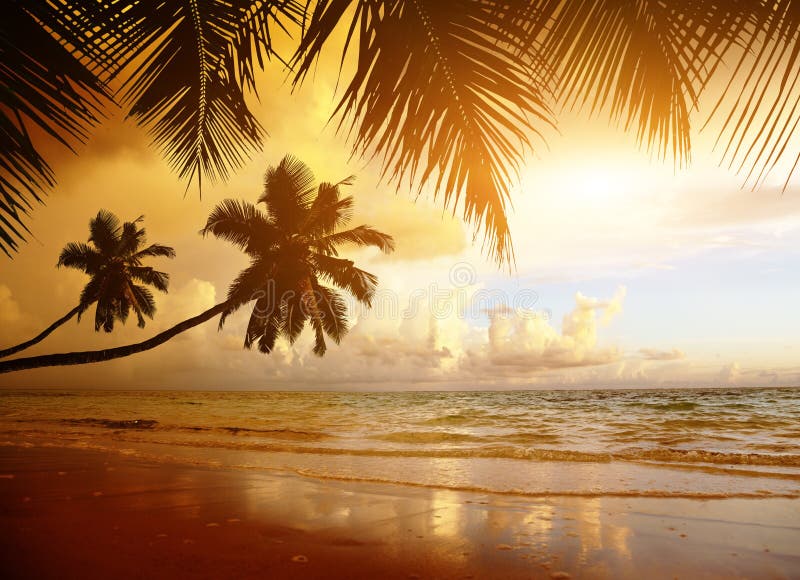 Sunset on the beach stock photo. Image of ocean, cloud - 35257480