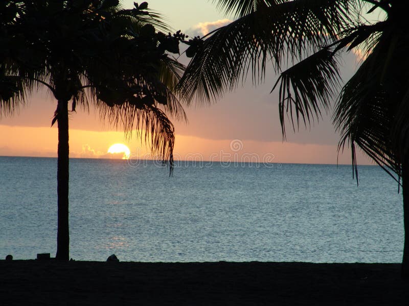 Sunset on the Beach with Coconuts Tree Stock Photo - Image of coconuts ...