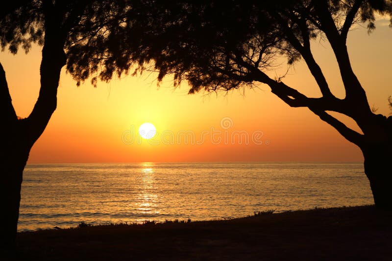 Sunset on the Beach with Dark Trees Stock Photo - Image of atmosphere ...