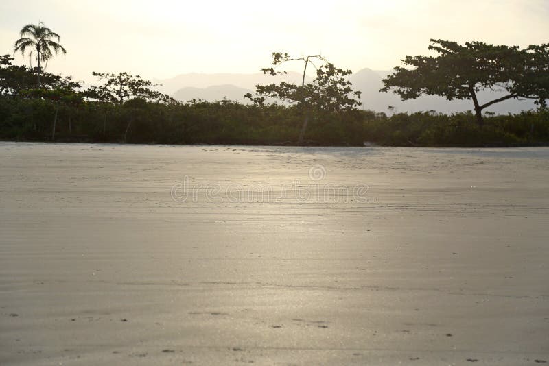 Sunset on the Beach. Forest and Mountains in the Background Stock Image ...