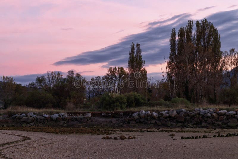 In the coast stock image. Image of romantic, golden - 134779527