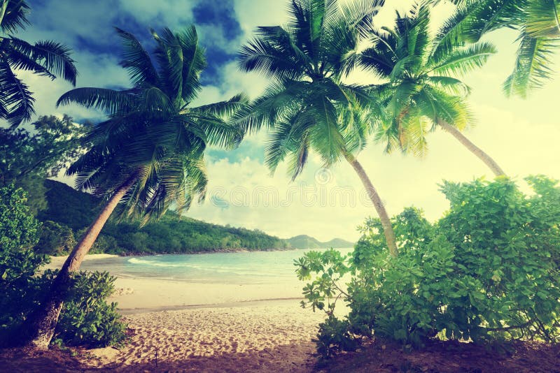 Sunset on Beach, Mahe Island, Seychelles Stock Image - Image of style ...