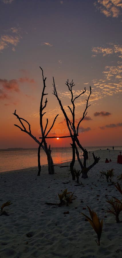 Sunset beach in Maldives stock image. Image of sunset - 211054359