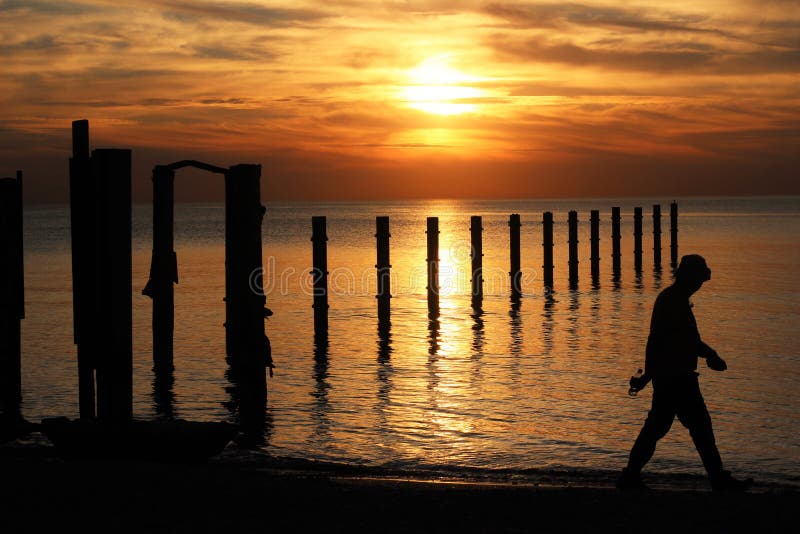 Sunset at the beach stock photo. Image of nature, sunlight - 118027994