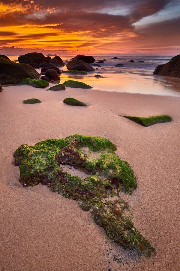 Sunset Beach Rock stock photo. Image of alge, algea, rock - 80736100