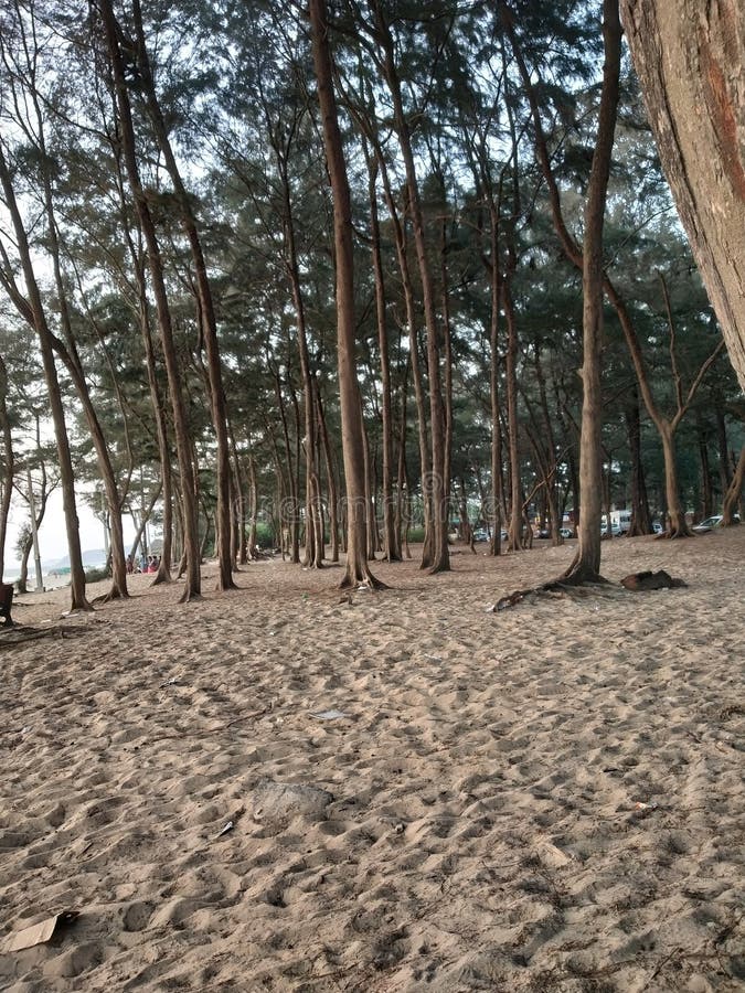 Sunset Beach at Shiroda stock photo. Image of india - 149396462