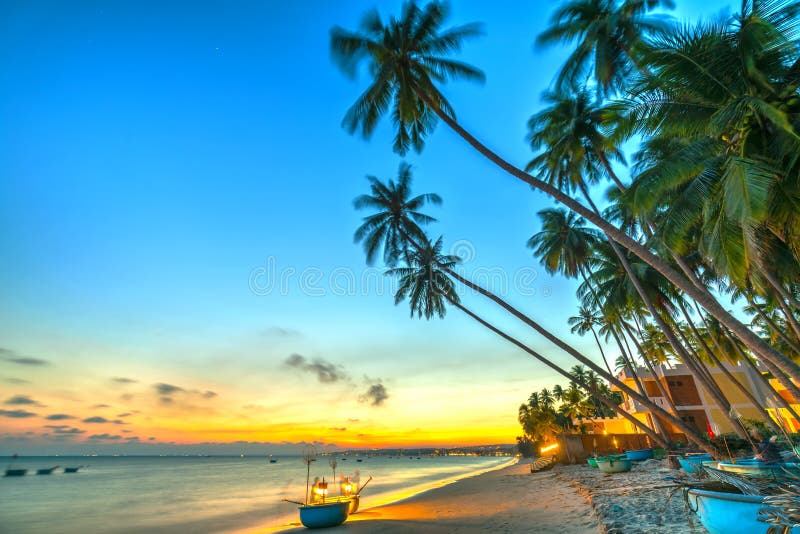 Sunset on the Beach with Tilted Coconut Trees, Stock Image - Image of ...