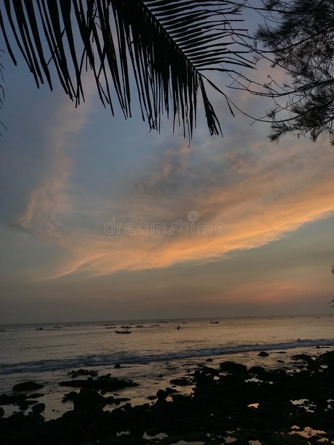 Sunset on the beach stock photo. Image of palmtree, menganti - 262455768