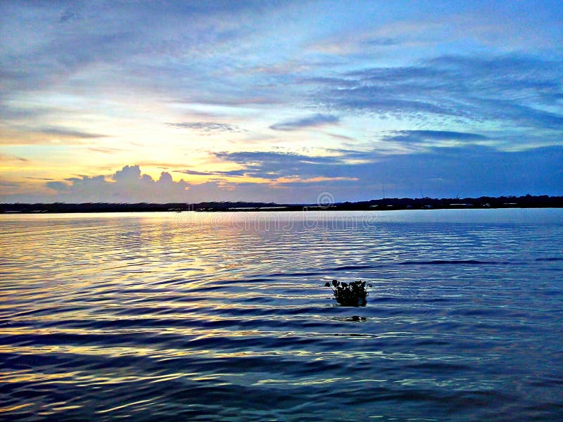 Bangladeshsky Stock Photos - Free & Royalty-Free Stock Photos from ...