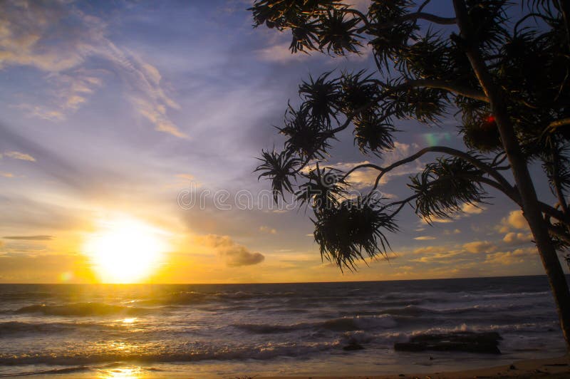 Sunset at a Beautiful Beach with Shade of Trees Stock Photo - Image of ...