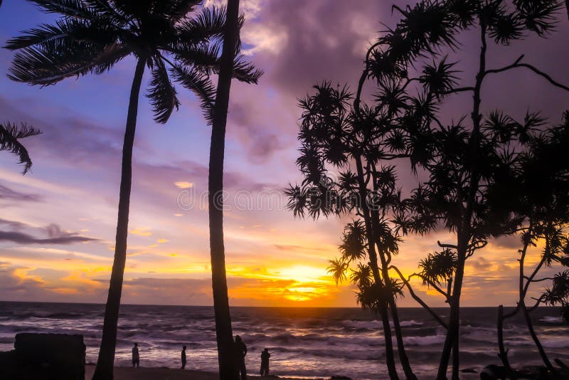 Sunset at a Beautiful Beach with Shade of Trees Stock Photo - Image of ...
