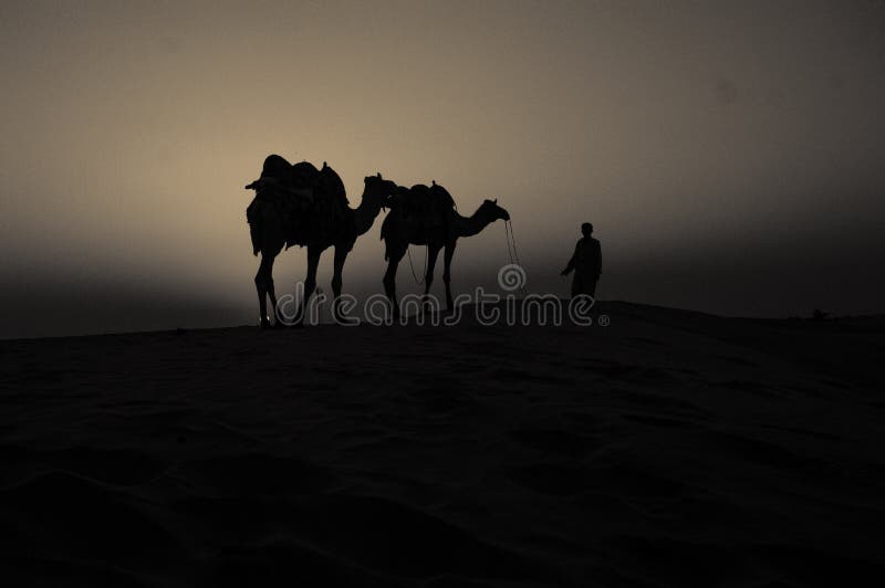 Sunset with Beautiful Camel Stock Image - Image of camel, beautiful ...