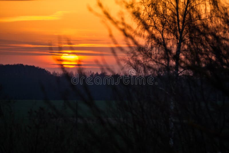 Sunset with Beautiful Cloudy Sky and Treeline Stock Image - Image of ...
