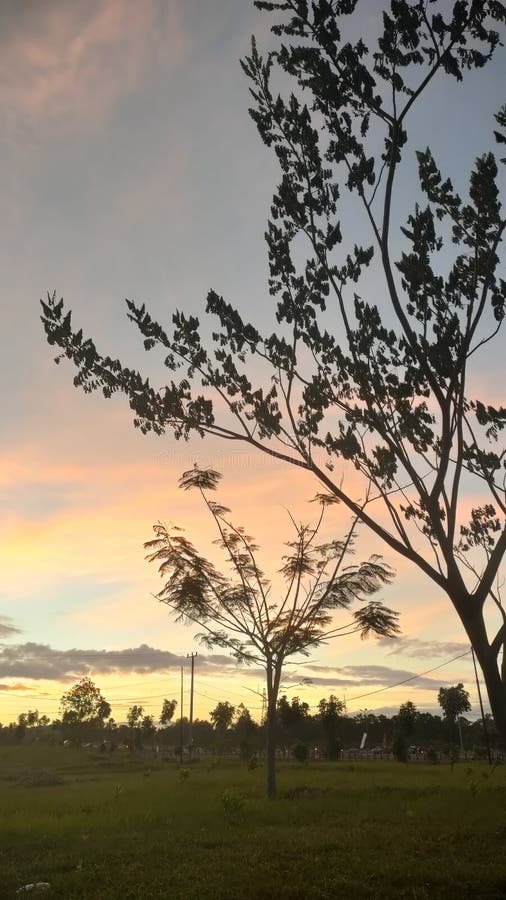 The Sunset is Beautiful Isn& X27;t? Stock Image - Image of greatest ...