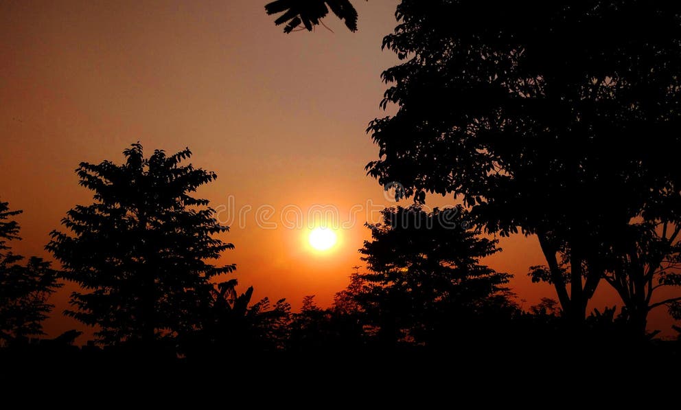 Sunset is Beautiful in Kolkata Stock Photo - Image of sunset, tree: 235111290