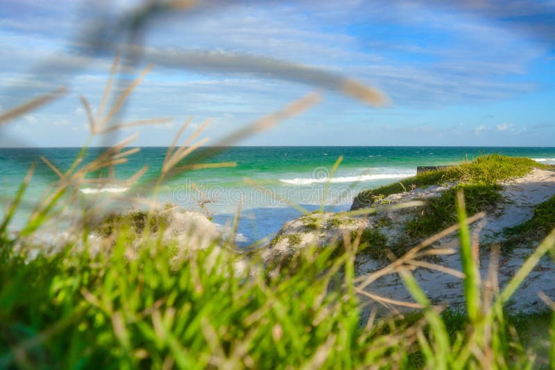 Sunset stock image. Image of beautiful, green, sunset - 94536163