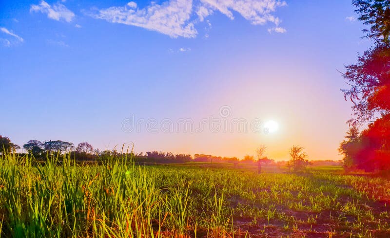 During Sunset. Beautiful Natural Landscape in the Summer Time Stock ...