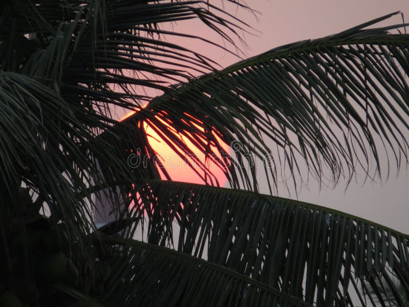 Sunset stock image. Image of adorable, lovely, dusk, setting - 91049707