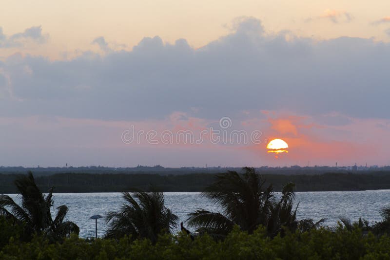 Sunset stock image. Image of plant, pink, yucataiexcl - 30723189