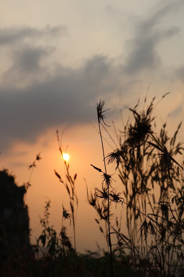 Sunset stock photo. Image of view, sunset, west, java - 219303358