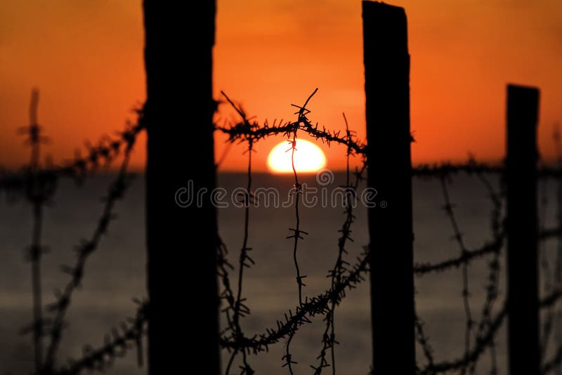 Sunset behind barbed wire, stock photo. Image of evening - 13216890