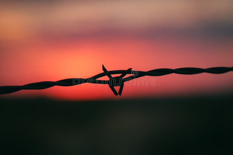 Sunset Behind the Barbed Wire Stock Image - Image of nature, sundown ...