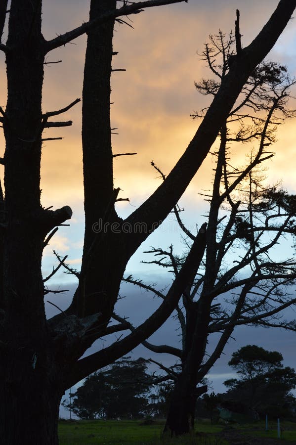 Sunset stock image. Image of sunset, trees, colours - 92427667