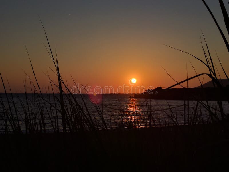 Sunset behind the plants stock image. Image of plants - 188606545
