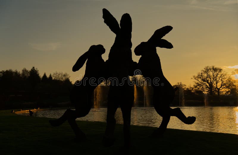 Sunset Behind Silhouetted Dancing Hares Sculpture. Wisley. Editorial ...