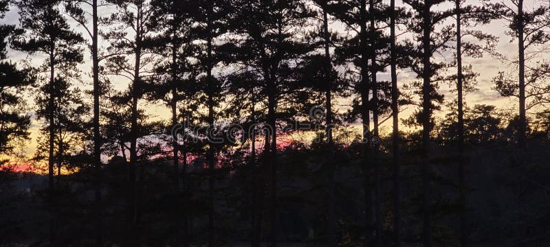 Sunset behind trees stock image. Image of sunlight, reflection - 250692765