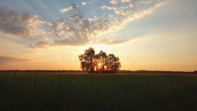 Sunset behind trees stock image. Image of landscape - 107148033